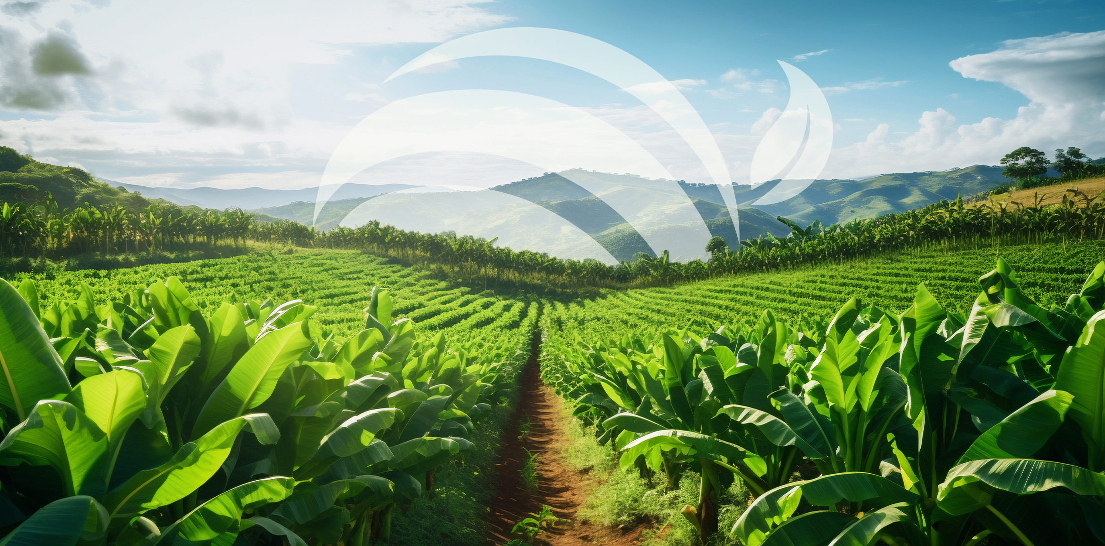 Exportación – Agrifrusa